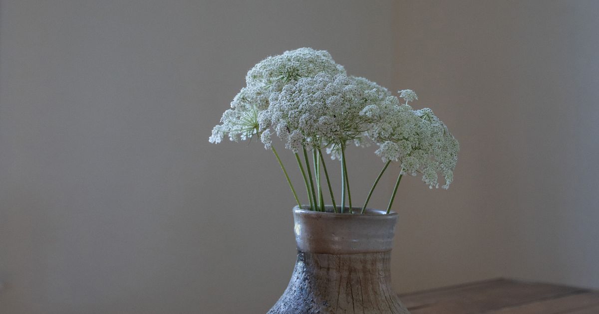 While I Wait - PhMuseum