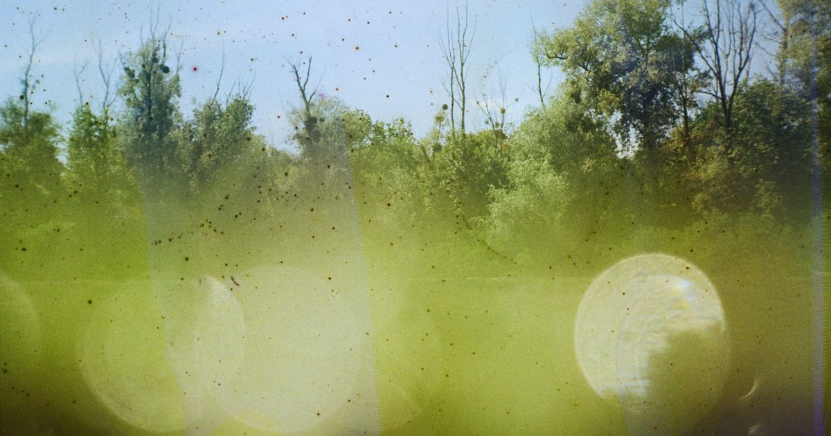 How nature affects the picture - PhMuseum