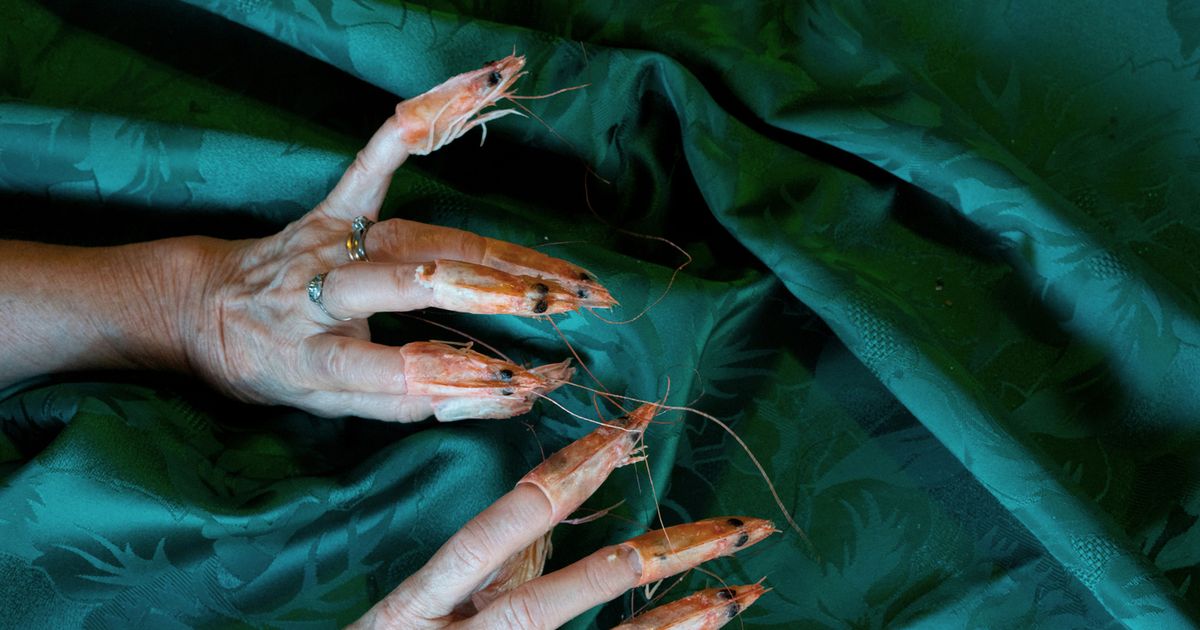 The witch stage - PhMuseum