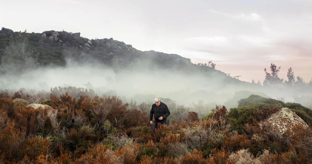 Agathe Kalfas & Mathias Benguigui Offering A Different Face to the ...