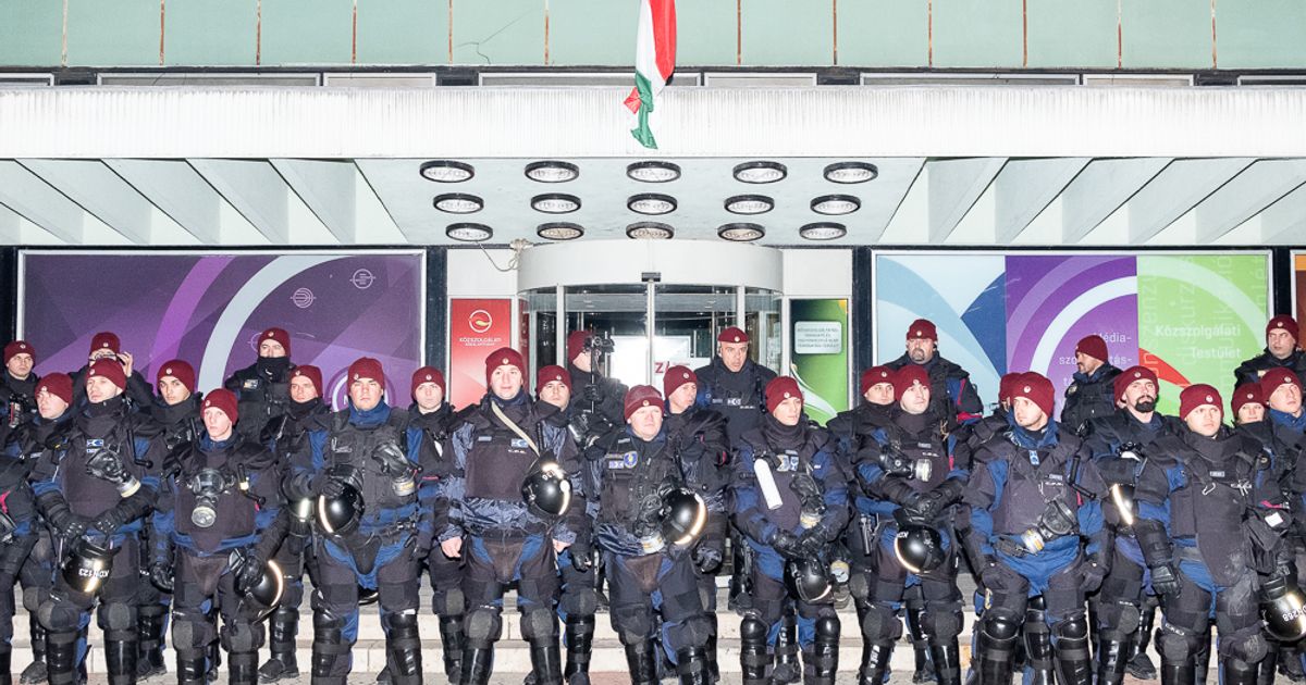 Two tailed dog - PhMuseum