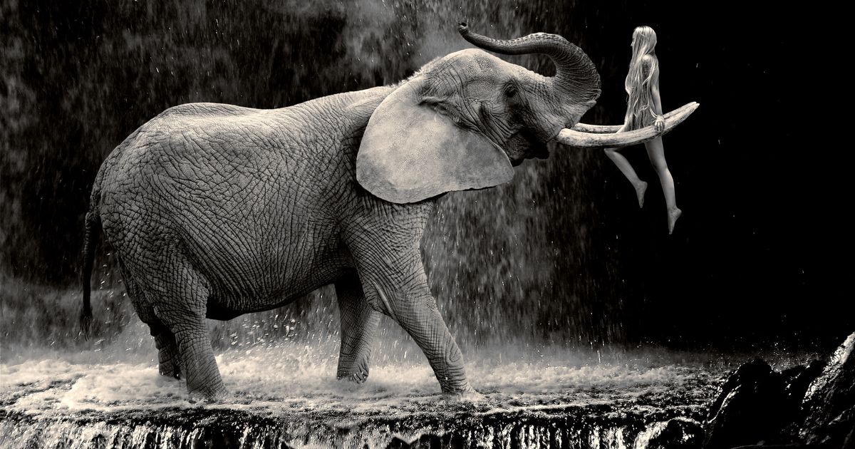 Where Is Adam? - PhMuseum