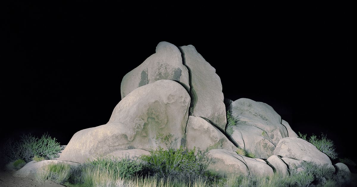 ROCK SAFARI - PhMuseum