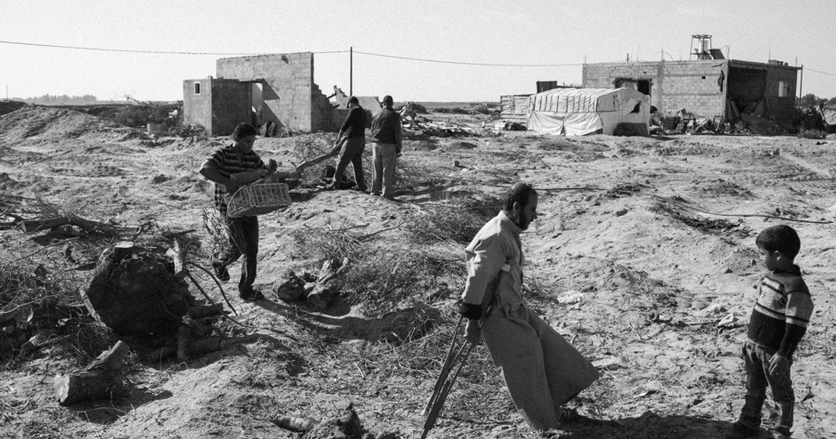 Farming in Gaza - Aftermath of war - PhMuseum