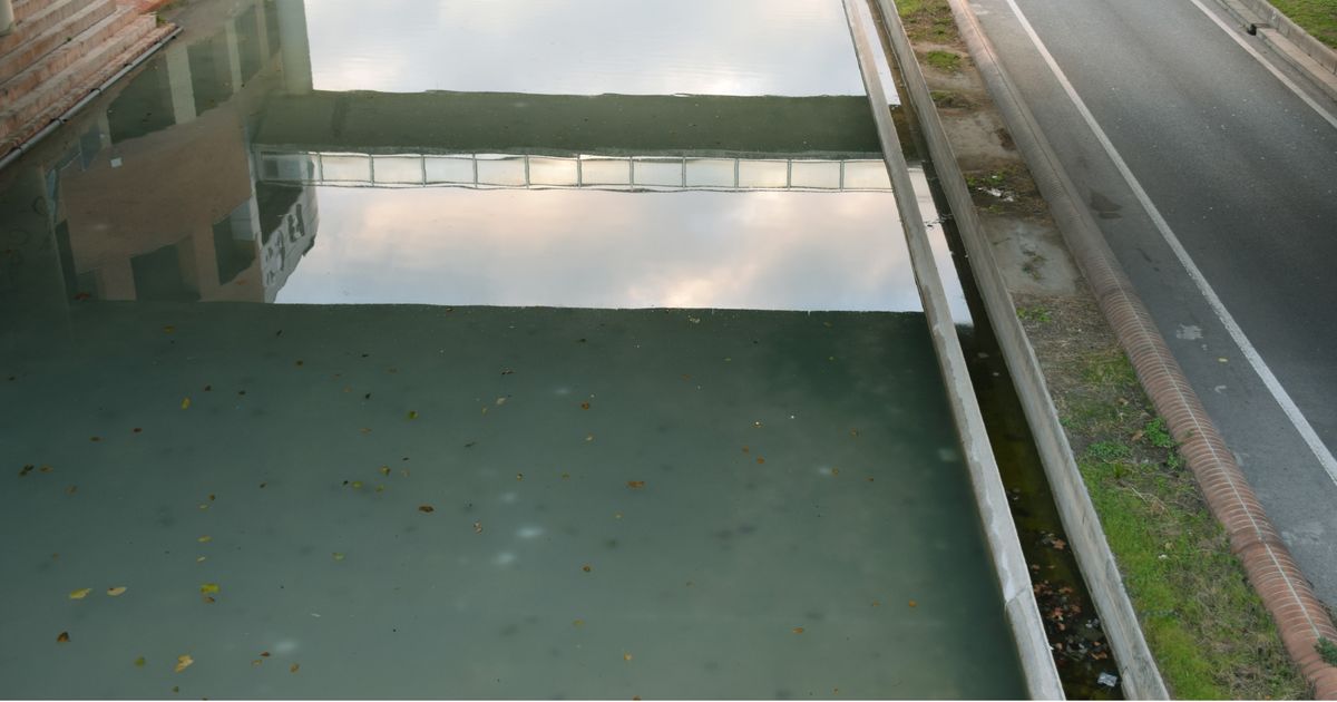 The Parallel Cities Project - PhMuseum