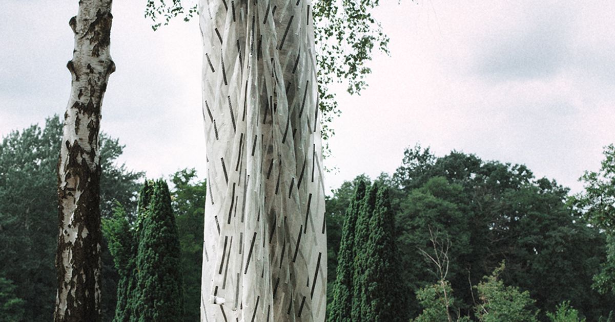 Dandelion - PhMuseum