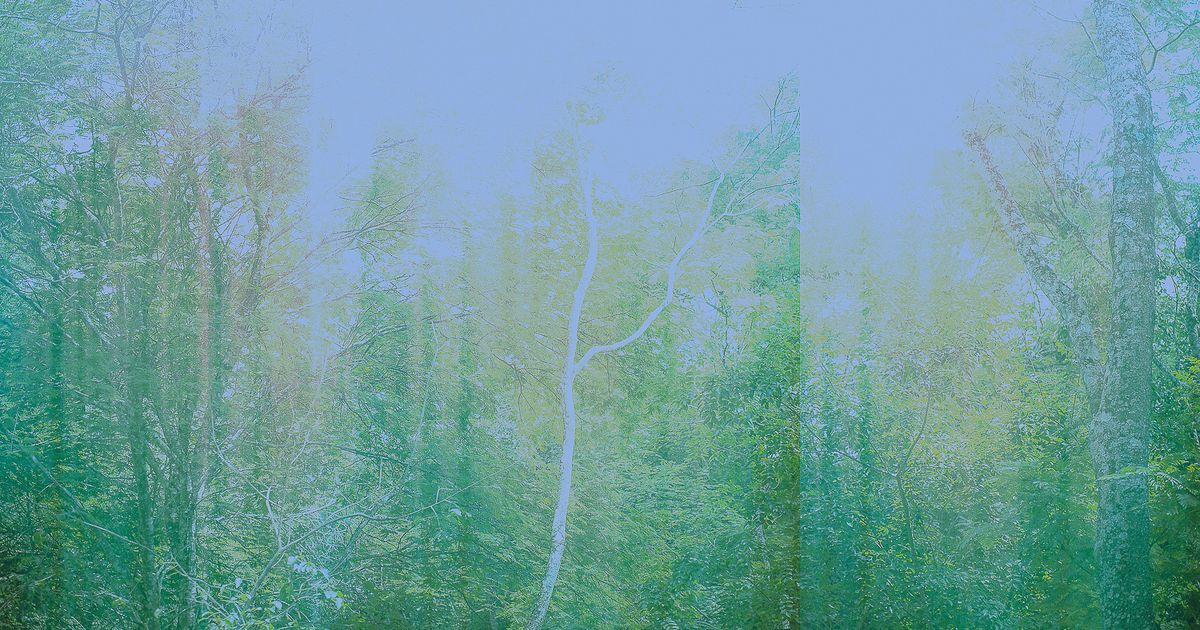 Invisible Cities - PhMuseum