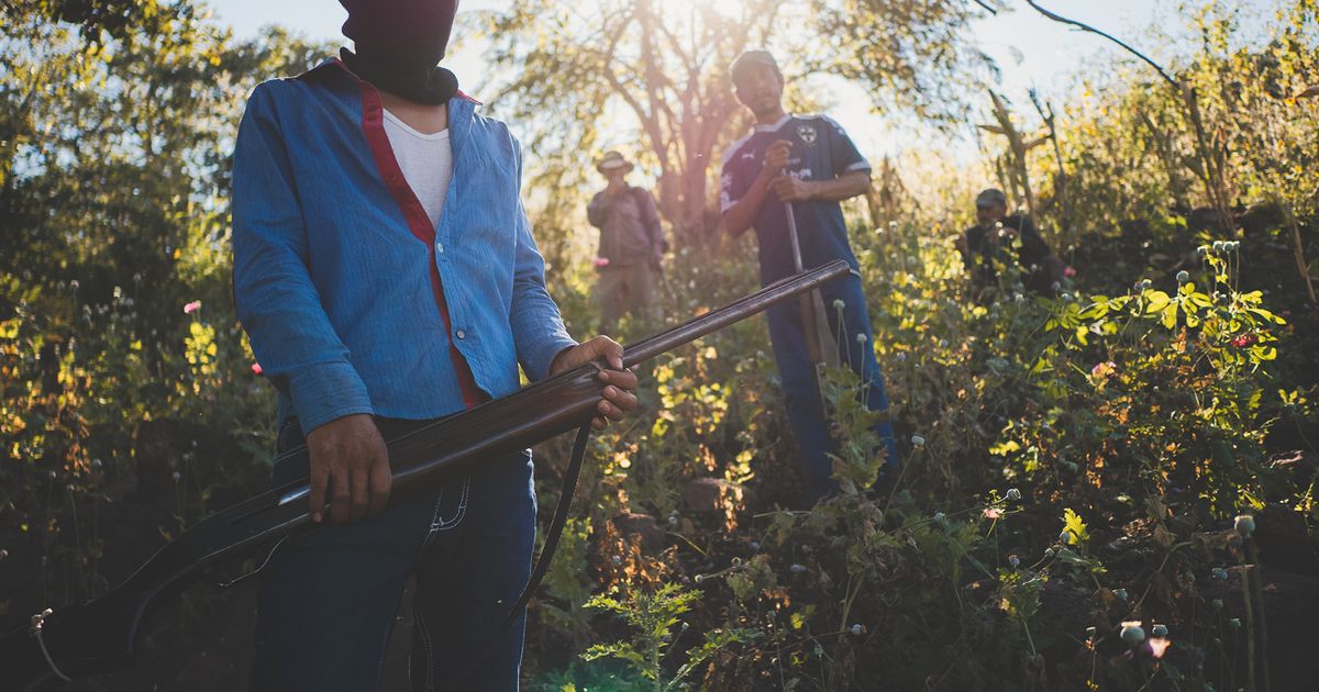 Forgotten Guerrero - PhMuseum