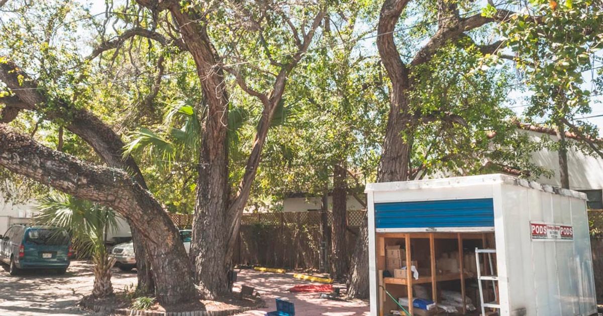 Swamp city - PhMuseum