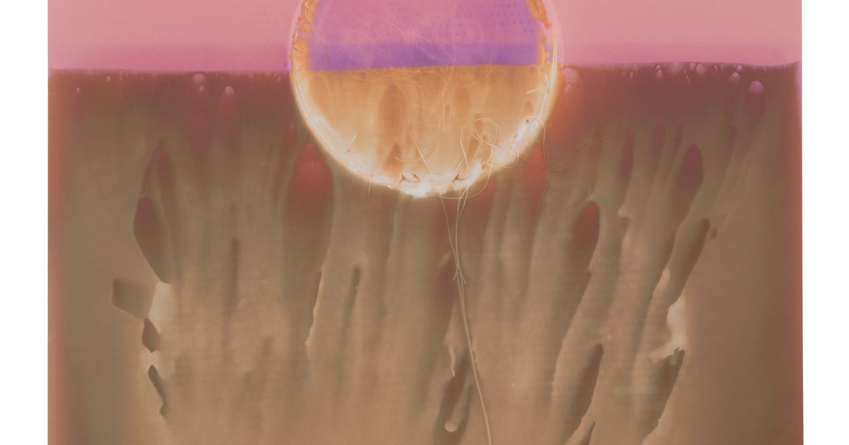 CHARTING THE HOURS - PhMuseum