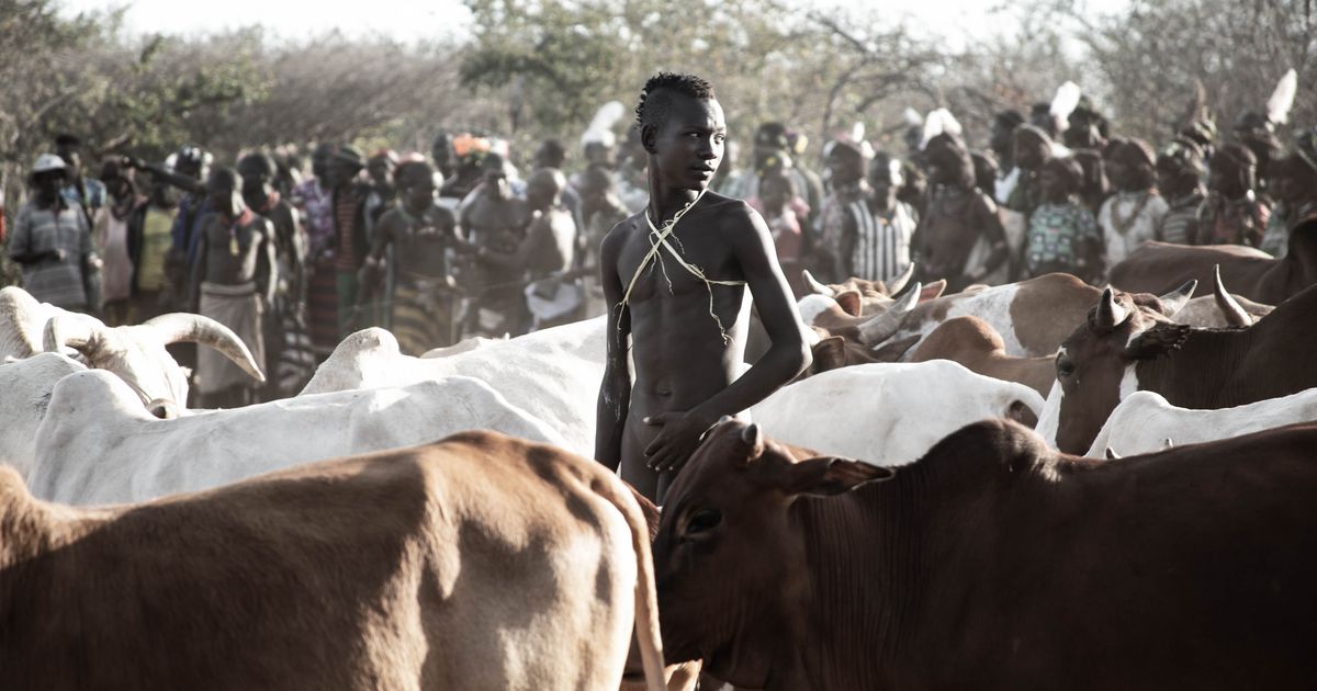 Hamer Bull Jumping Ceremony - Ethiopia - PhMuseum