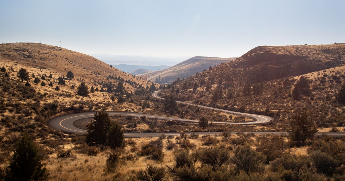 Witness Marks - PhMuseum