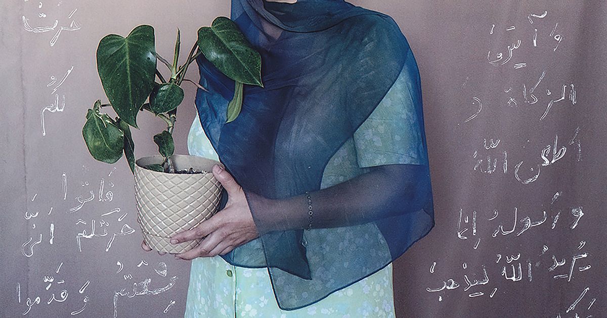 The lotus seeds sprout - PhMuseum