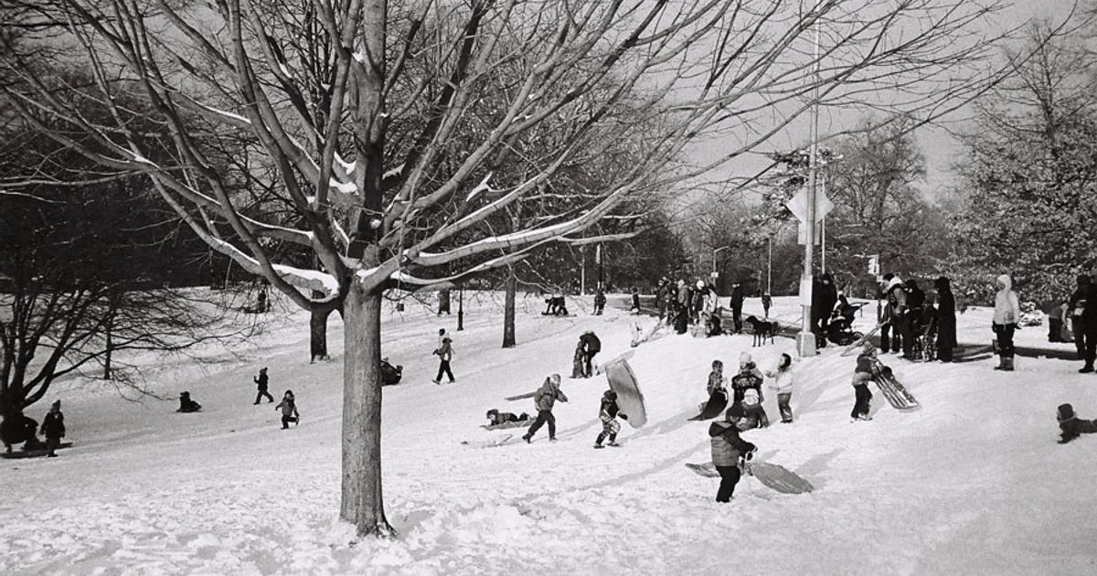 FEBRUARY 2017 IN BROOKLYN, a French point of view - PhMuseum