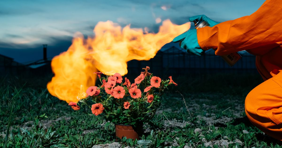 Return2Ithaca 2025 Residency Program - PhMuseum