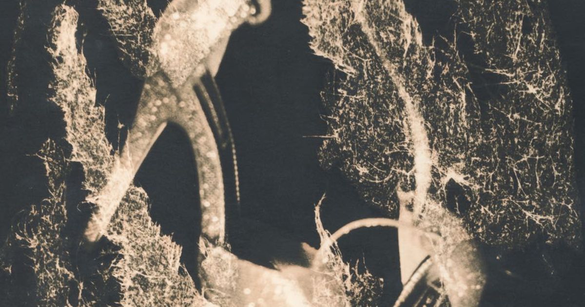 Reanimate - PhMuseum