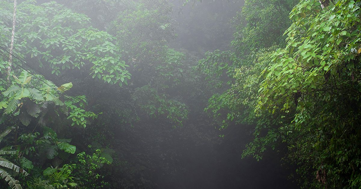 The Man Does Not Exist - PhMuseum