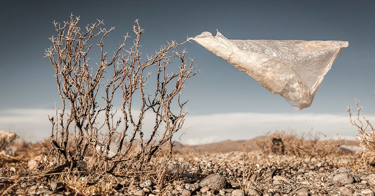 Plastic Trees - PhMuseum