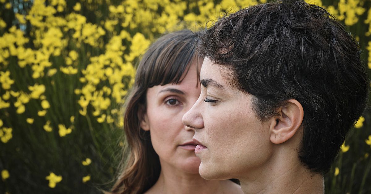 OLIVE TREE - PhMuseum