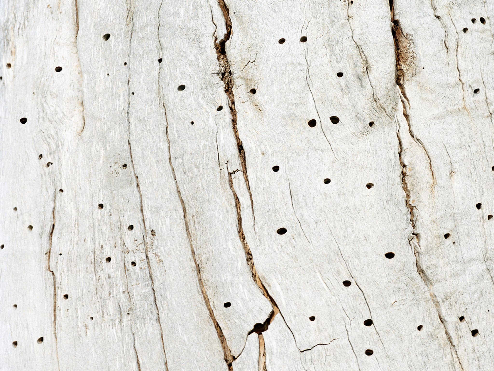 PhMuseum 2025 Photobook Award - PhMuseum