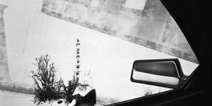 Eleonora Paciullo - PhMuseum