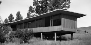 Craig Ames - PhMuseum