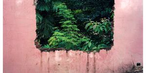 Tomás Cambas - PhMuseum