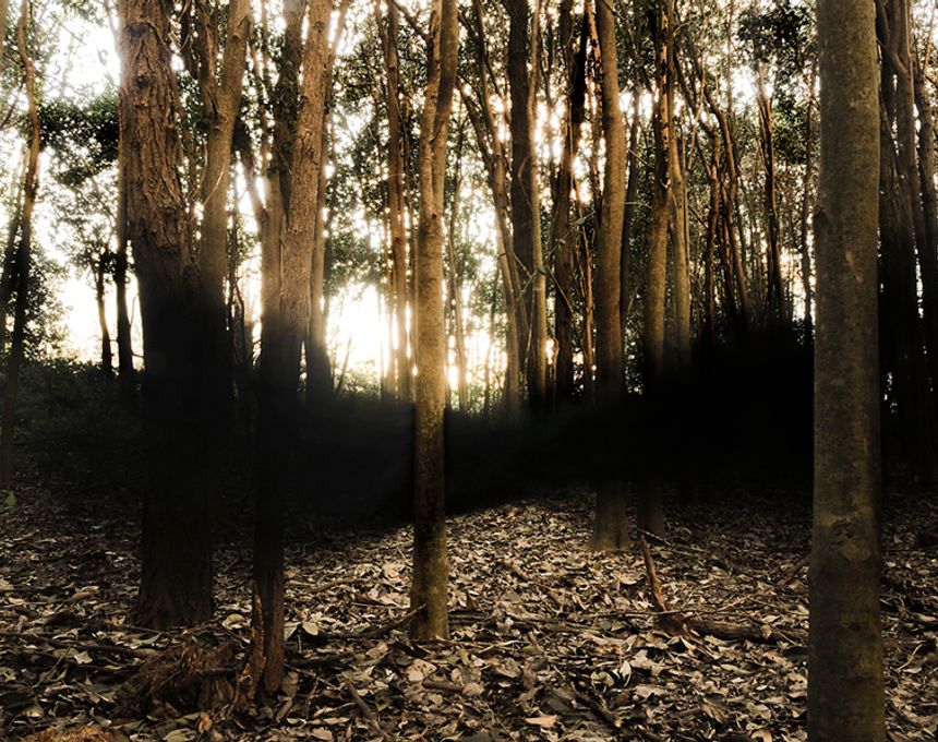 Maggic Cube - PhMuseum