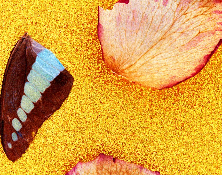 Captured Earth at MoCP - PhMuseum